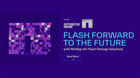 flash forward to the future with netapp all flash storage solutions