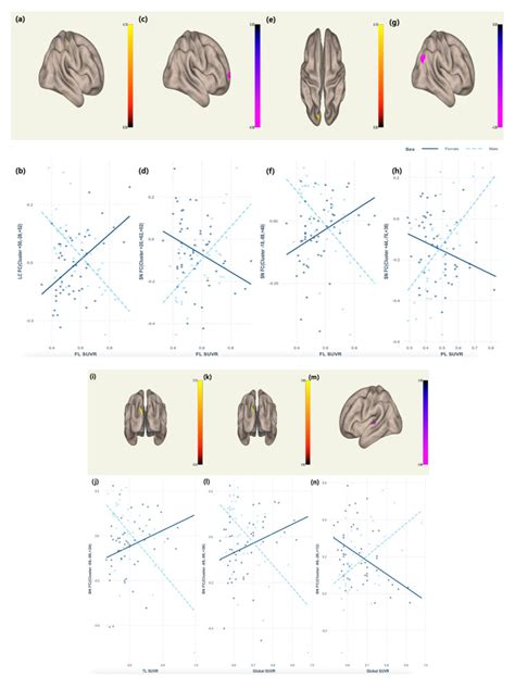 Sex Related Disparities In The Resting State Functional Connectivity Of