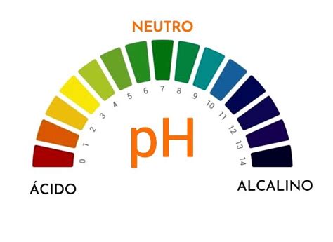 La Importancia De Conocer El Ph De Los Productos De Limpieza