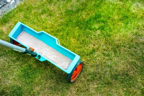 Fertilizer Burn Everything You Need To Know The Grounds Guys