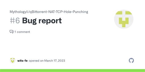 Bug Report Issue 6 Mythologyli QBittorrent NAT TCP Hole Punching