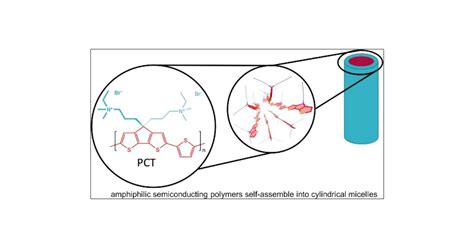 Designing Amphiphilic Conjugated Polyelectrolytes For Self Assembly Into Straight Chain Rod Like