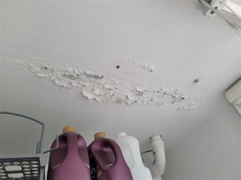 베란다 천장 페인트 벗겨짐 지식in