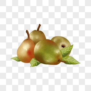 배 이미지 사진 401548568 무료 다운로드