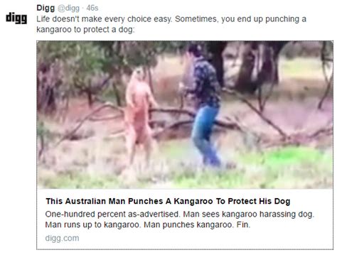 Questioning Answers 2016 Autism Research Review On Questioning Answers