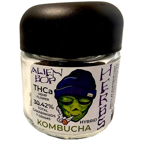 Kombucha Alien Bop