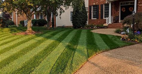 Lawn Album On Imgur