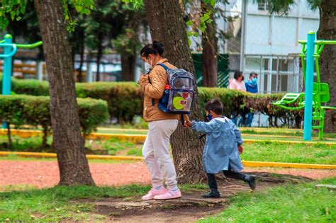 Paso A Paso Para El Registro Mi Beca Para Empezar