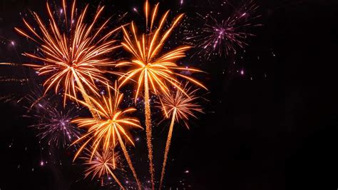 Como proteger cães e gatos dos fogos de artifício nas festas de fim de ano