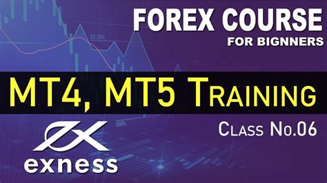 How To Use Mt5 And Mt4 Platform Metatrader 5 Tutorial For Beginners Youtube