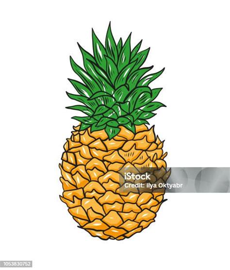 Main Dananas Dessinée Illustration Vectorielle Isolé Sur Fond Blanc