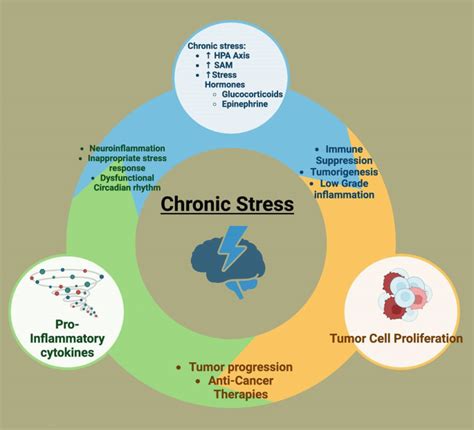 Physical Medicine And Rehabilitation Strategies In Cancer Treatment