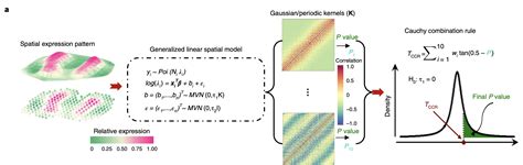 Sun Et Al 2020 Nature Methods Statistical Analysis Of Spatial Expression Patterns For