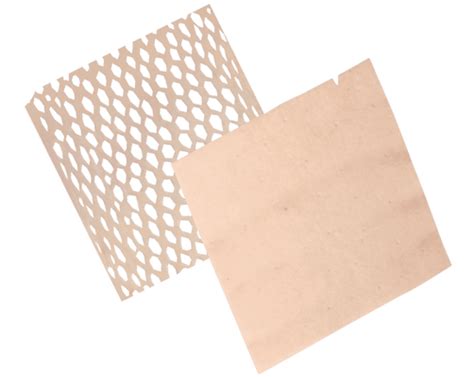 Allograft Dermis Conmed