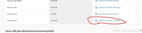 记录一下jdk8与jdk17在同一台电脑同时存在的方法 可以用jdk8和17同时使用 怎么安装 csdn博客