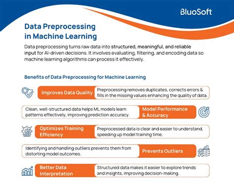 Machinelearning Ml Datapreprocessing Bluosoft Bigdata Ai Bluo