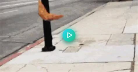 Conspiracy Album On Imgur