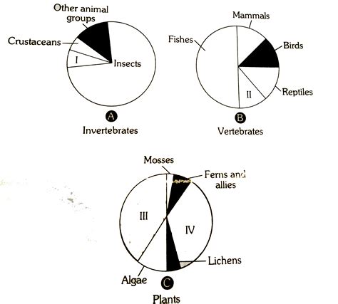 Invertebrates And Vertebrates Chart