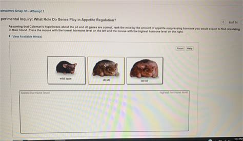 solved homework chap 33 attempt 1 eperimental inquiry