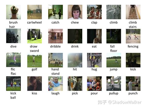 【cv】行为识别action Recognition常见数据集和研究现状 知乎