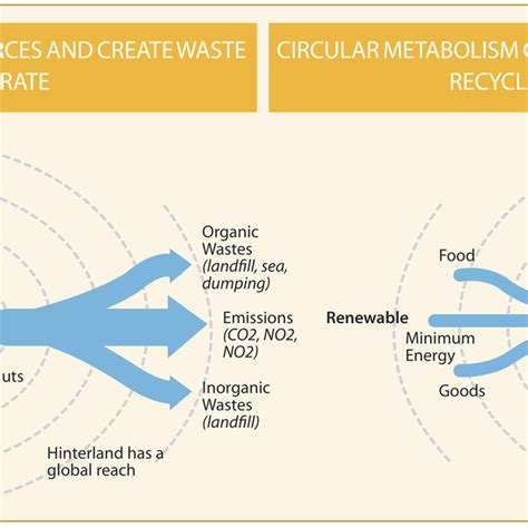 Linear And Circular Metabolism Source Girardet 2010 P 11
