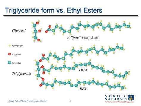 Ppt Overview Powerpoint Presentation Free Download Id4882734