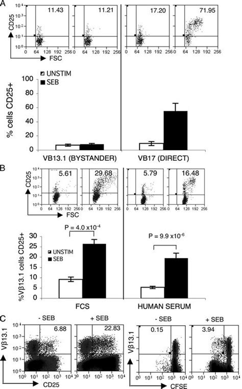 Human Cd4 Memory T Cells Are Preferential Targets For Bystander