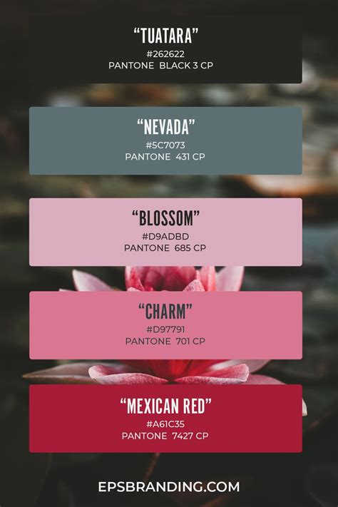 17 Beautiful Pink Color Palettes Eps Branding Color Palette Pink
