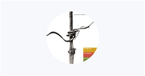 ‎los Zambo En Apple Music