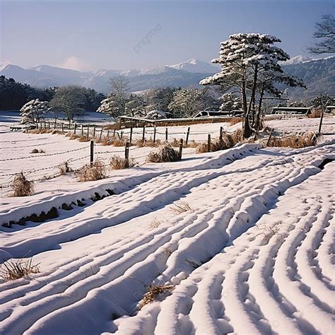 일본에서 가장 높은 산 중 하나의 정상 옆에 있는 눈 덮인 들판 겨울 계절 나무 배경 일러스트 및 사진 무료 다운로드 Pngtree