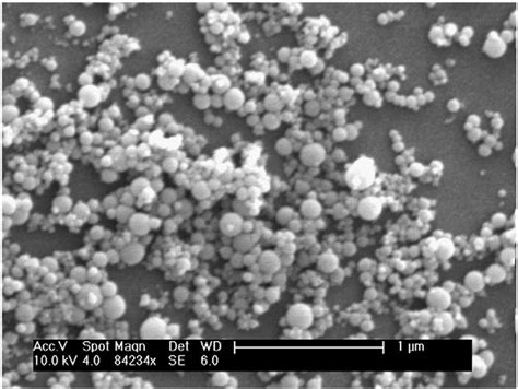 Scanning Electron Micrograph Showing Procured Alumina Nps Download