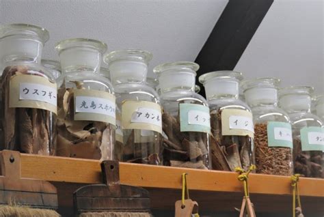 Okinawa Bingata Class Japan Airlines