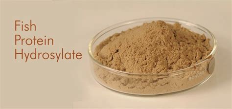 Si Ikan Tongkol Hidrolisat Protein Ikan Dan Aplikasinya