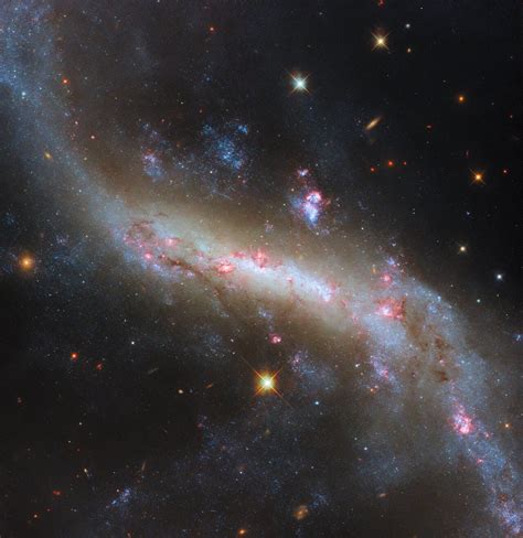 Visiting A Galactic Bar Behind The Black Robert Zimmerman