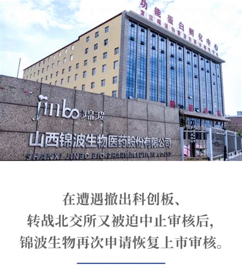 锦波生物重启ipo，重组胶原蛋白成资本新宠 Jiemian Global