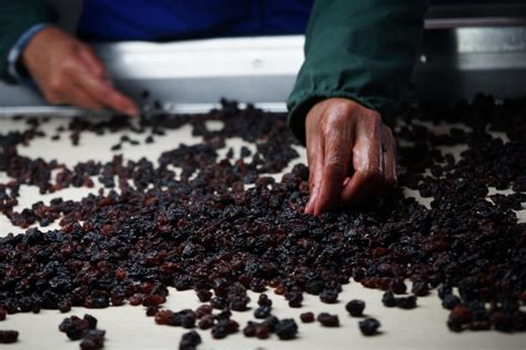 Nuestra Calidad Anjari Exportadora