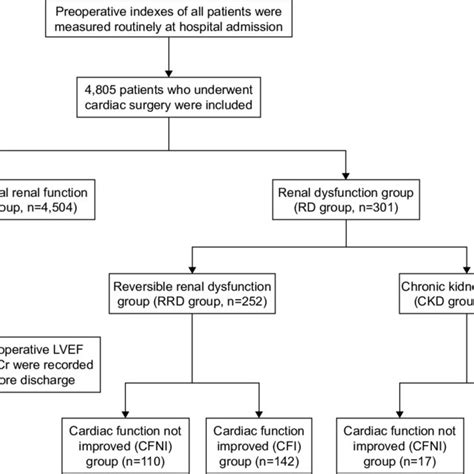Groupings Of Patients Abbreviations Cfi Cardiac Function Improved