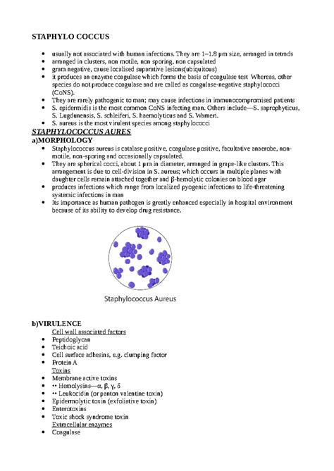 Staphylococcus Simple Notes Staphylo Coccus Usually Not Associated With Human Infections