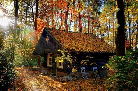 Automne