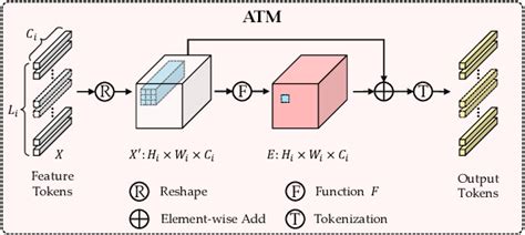 figure 1 from angle tokenization guided multi scale vision transformer