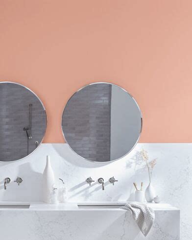 Salmon Mousse Benjamin Moore
