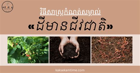 ចំណុចតូចៗដែលយើងអាចសម្គាល់ពីលក្ខណៈរបស់ដីដែលមានជីវជាតិ នាទីកសិកម្ម Kaksekam Time