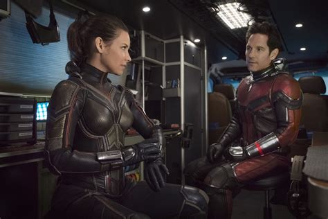 Ant Man Evangeline Lilly Wasp Marvel Comics 4k Paul Rudd Ant Man
