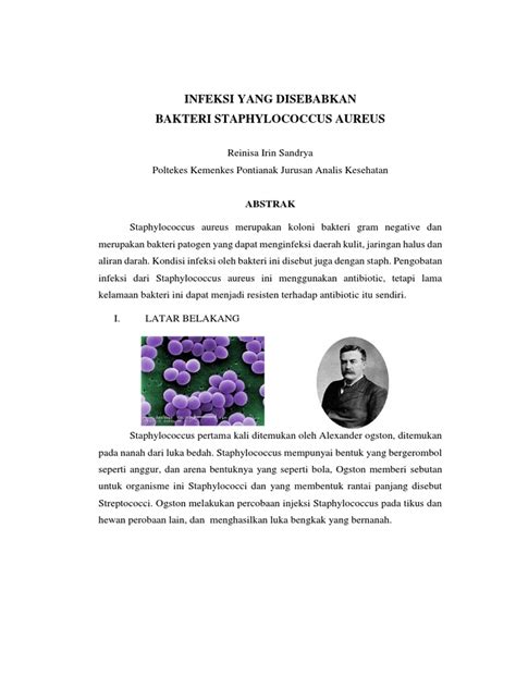 Infeksi Yang Disebabkan Bakteri Staphylococcus Aureus Pdf