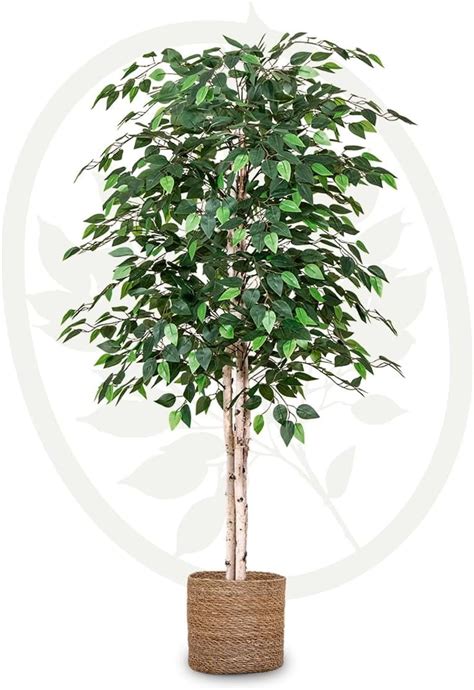 Artificial Ficus Tree 5ft Tall Fake Tree With Natural Wood Trunk