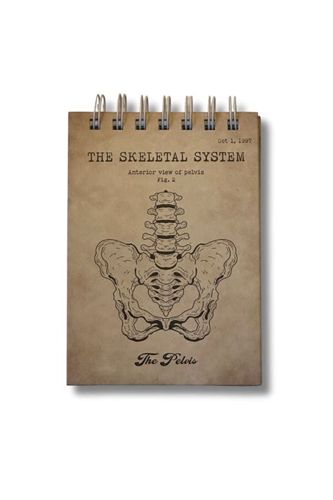Pelvis Pocket Notebook A6 Doris