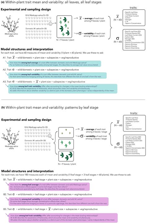 Schematic Linking Experimental Design Sampling And Statistical
