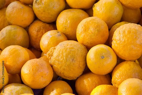 Super Sweet Sumo Mandarin Oranges A Cross Breed Between A Satsuma And