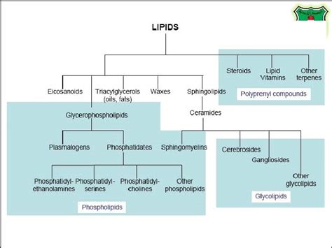 Lipids Dr Mamoun Ahram Resources This Lecture Campbell
