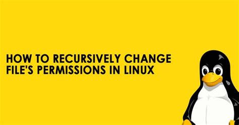 How To Recursively Change The File S Permissions In Linux CHMOD Linux